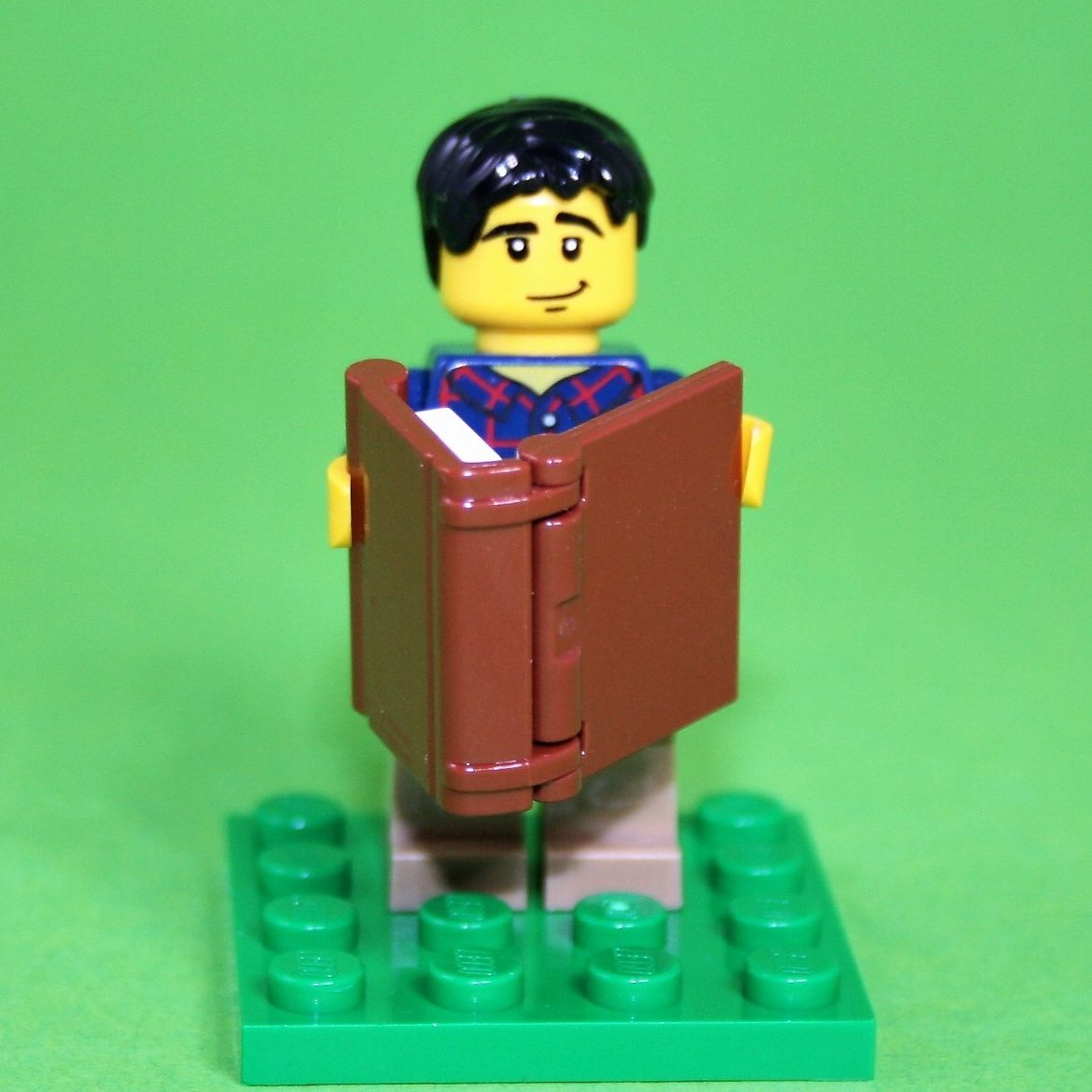 Unique kits from original LEGO® bricks – The Brickworms