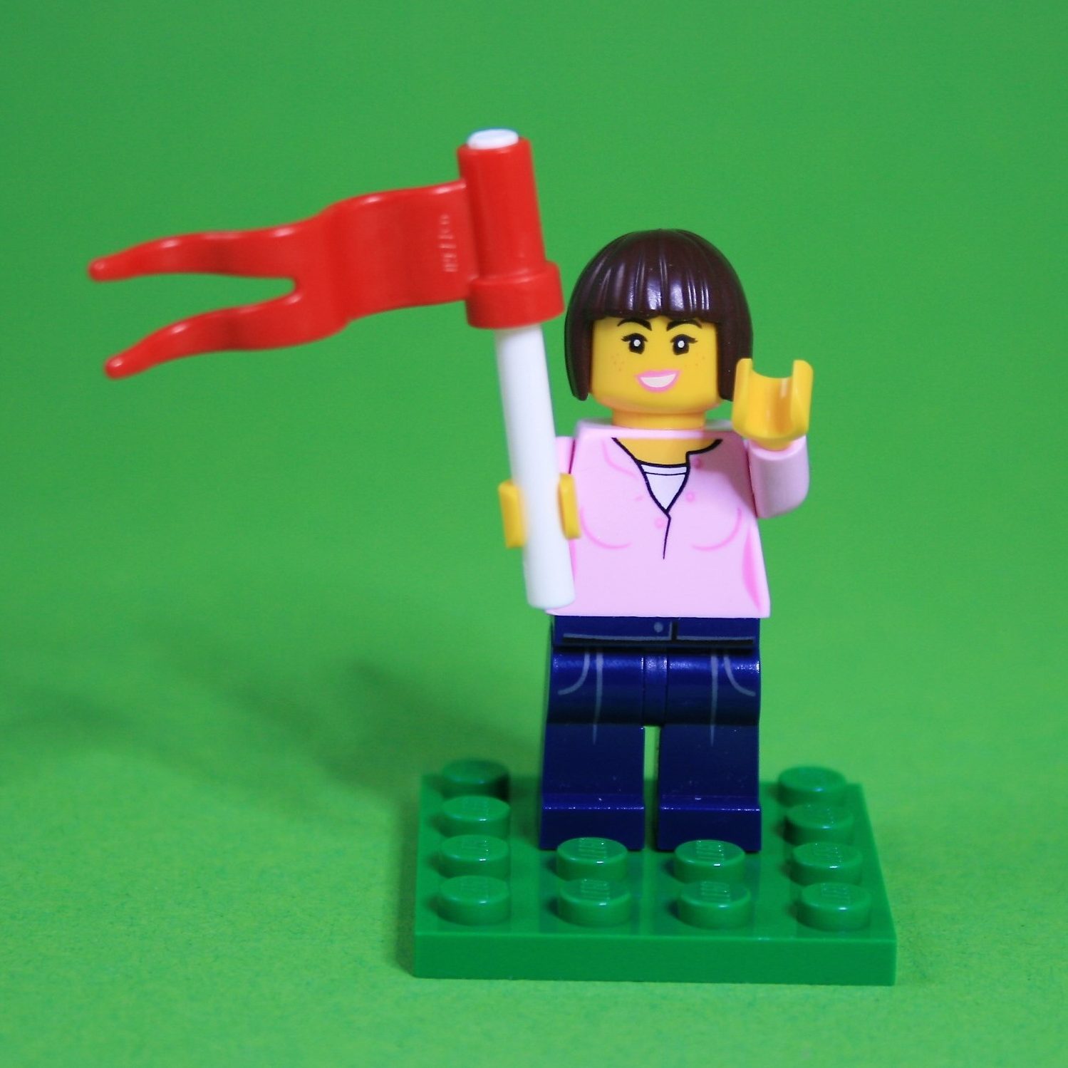 Unique kits from original LEGO® bricks – The Brickworms