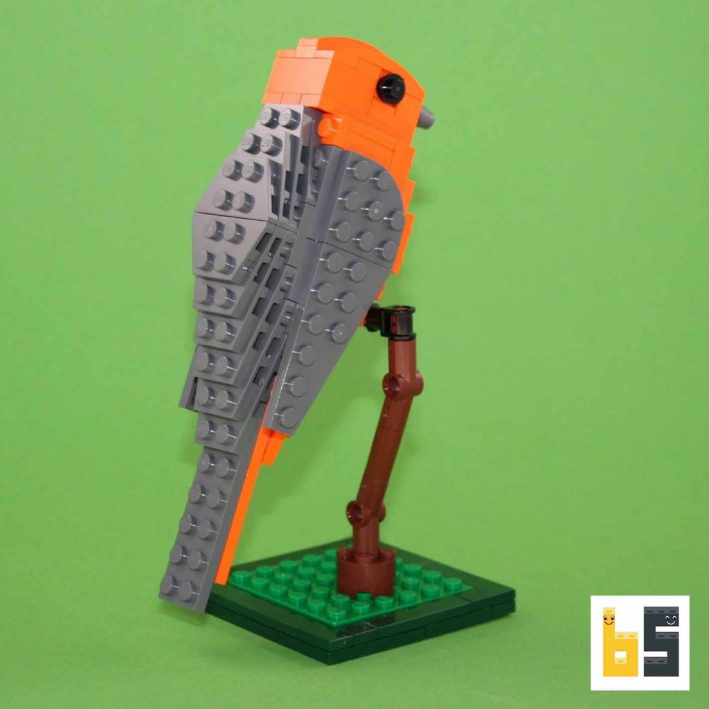 Red-capped robin-chat – kit from LEGO® bricks – The Brickworms
