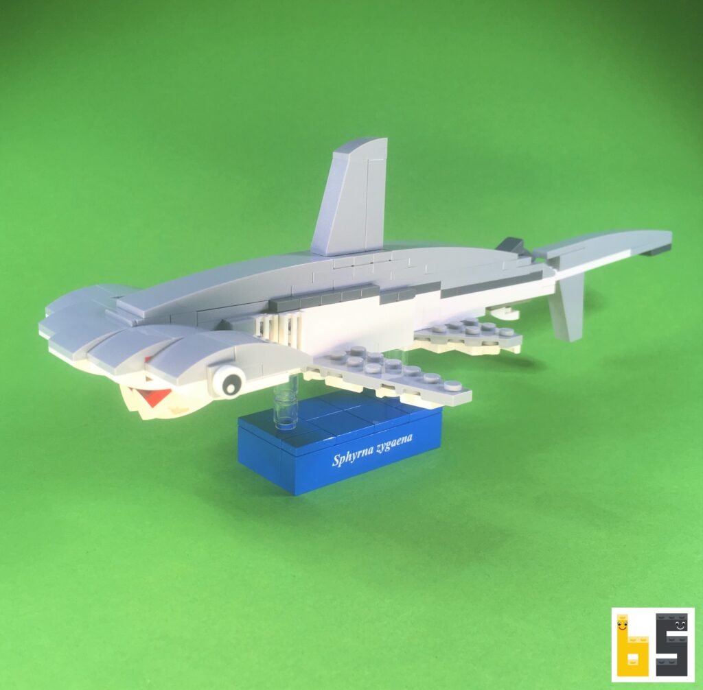 Smooth hammerhead shark – kit from LEGO® bricks – The Brickworms